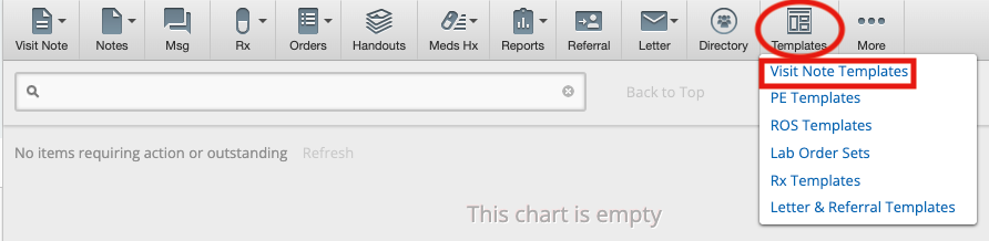 Visit Note Templates Guide