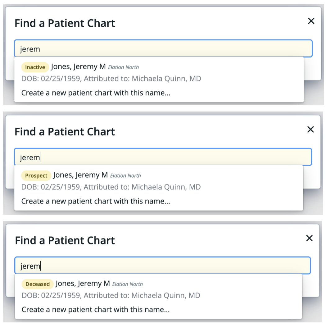 Patient Chart Guide- Patient Status