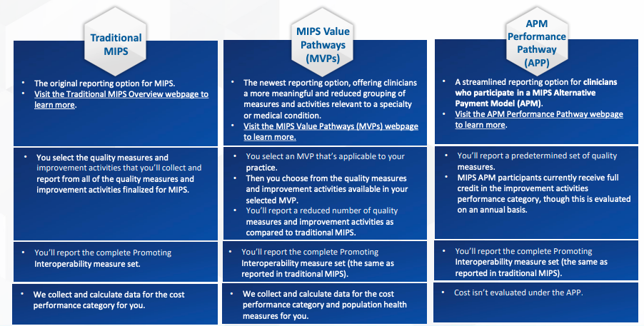 MIPS (2025) Overview